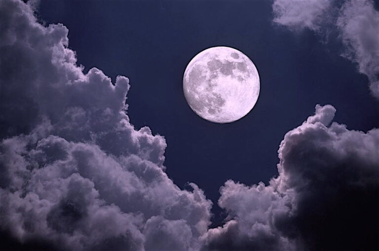 Activation of the Light Grid Meditation Monday, November 14 at 1:52 PM ...