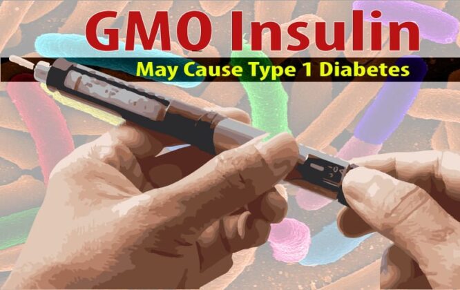 GMO Insulin Causes Type 1 Diabetes in Type 2 Diabetics, Study Finds ...