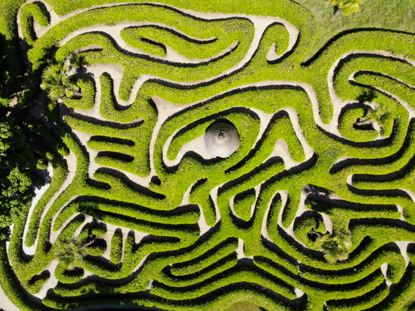 Piecing the Puzzle Pieces Together When in a Maze - Prepare For Change