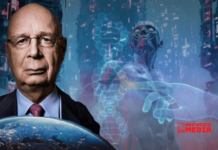 The Stages of MK-ULTRA Monarch Programming - Prepare For Change