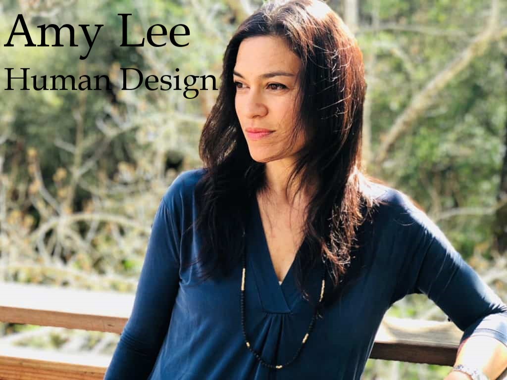 Ascension Connection - The 2027 Shift with Guest Speaker Amy Lee, Nov ...
