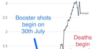 Epstein’s Child Rape Temple Has the Same Address as Spongebob ...