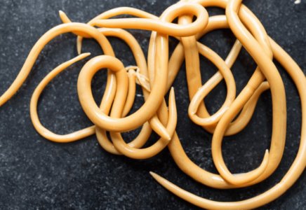 Ego Death 7 Terrifying And Illuminating Stages Prepare For Change