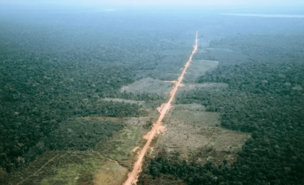 Acres of Amazon rainforest trees cut down to build road for climate ...