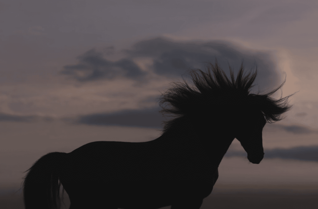 Stop Trying to Figure Out the How - Prepare For Change